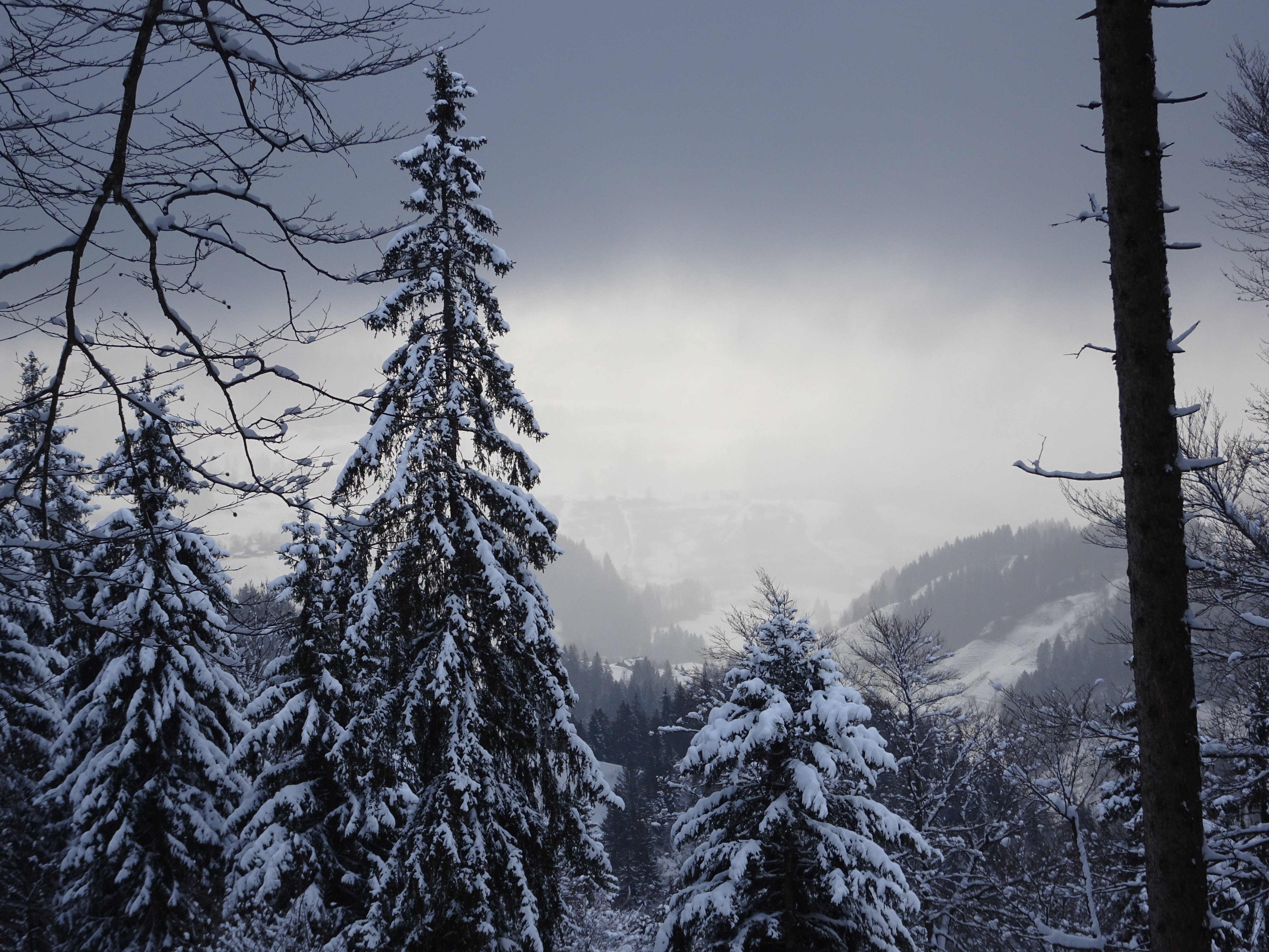 Ein winterliches März-Wochenende auf dem Napf
